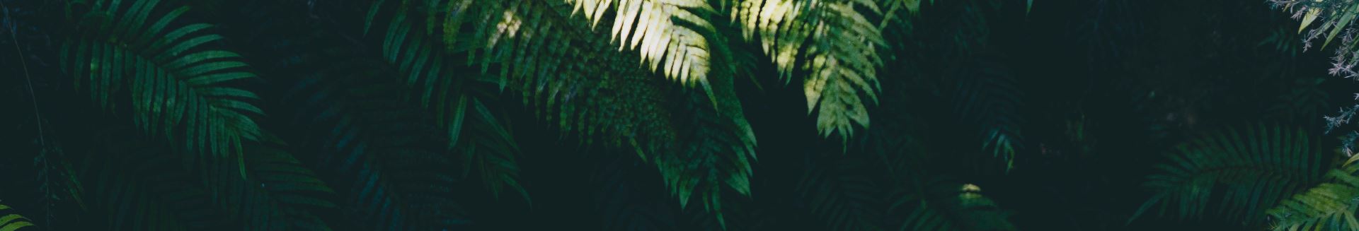 I Am Jane Goodall – Ordinary People Change The World